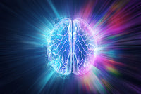 Brighteon University